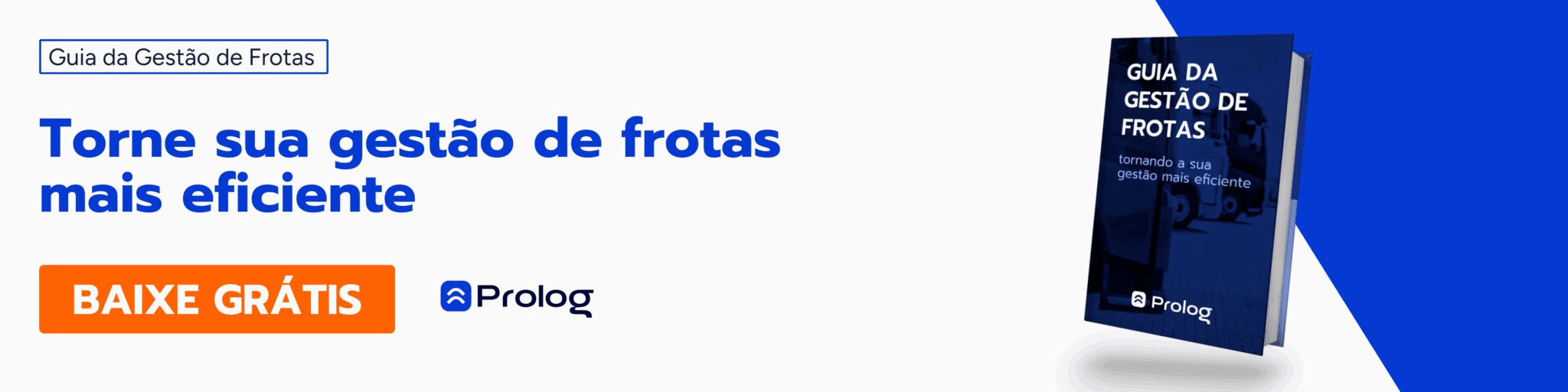 Bitrem: conheça os 5 modelos e como usá-los na frota - Prolog App